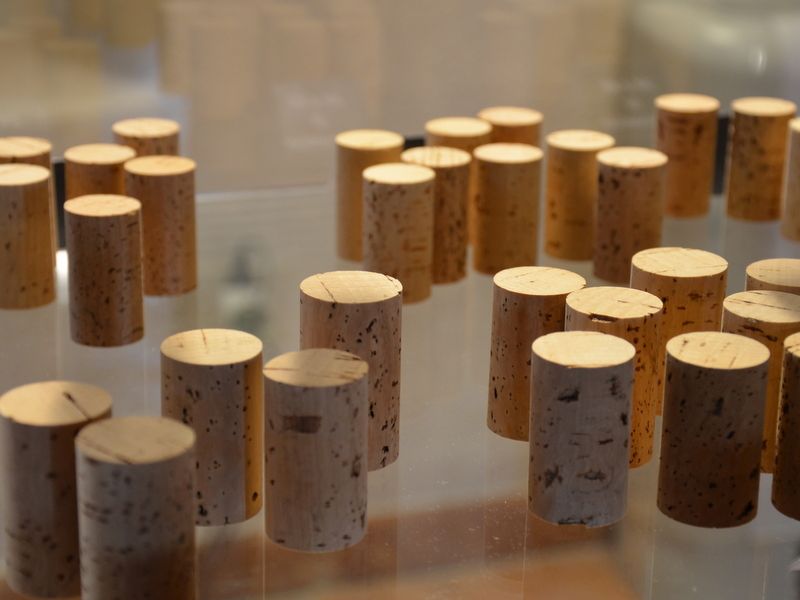 Alles Kork! 150 Jahre Kork-Tradition auf Sardinien - O-Solemio